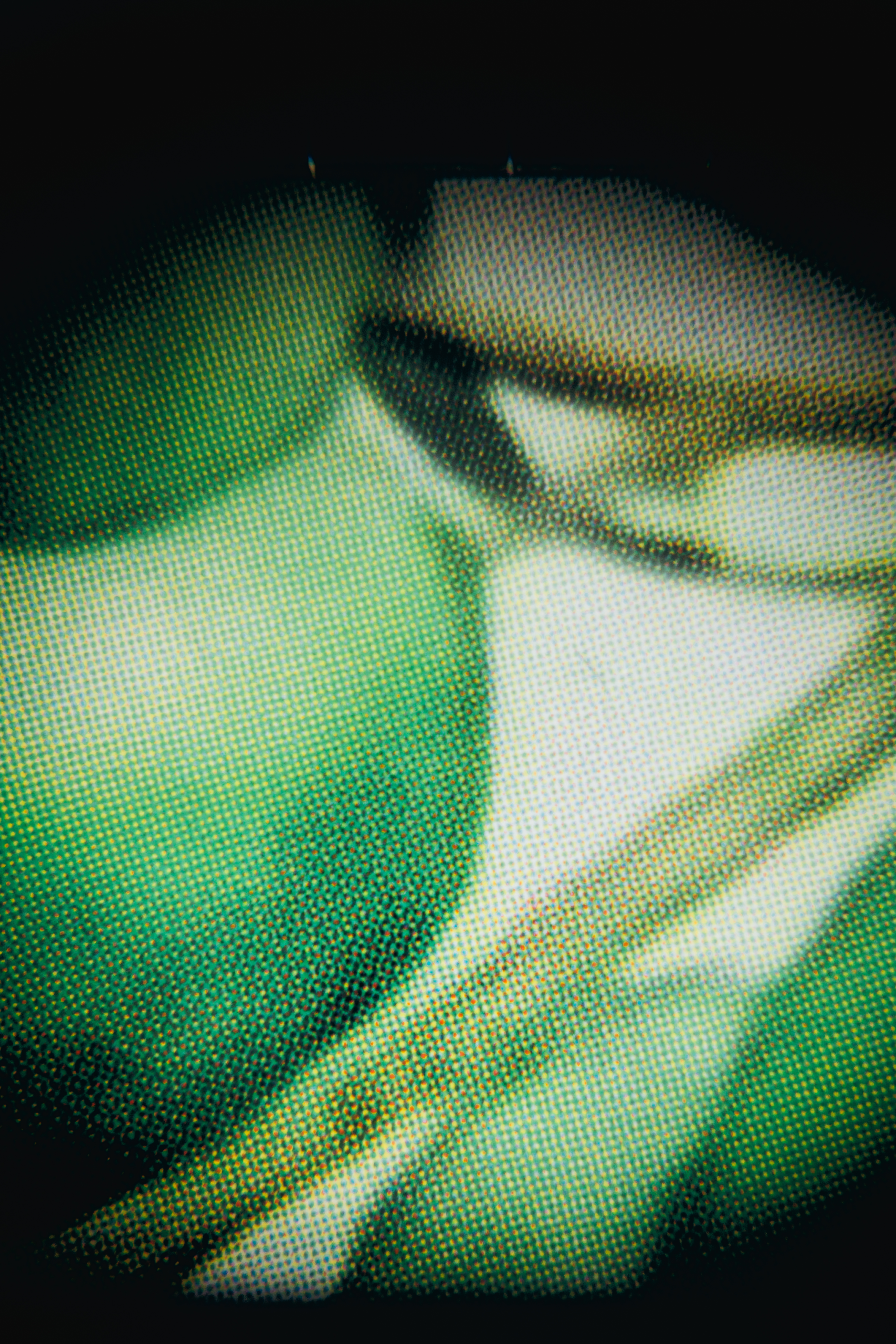 MOQ impression emballage et le paradoxe des 1000 pièces - Co&in